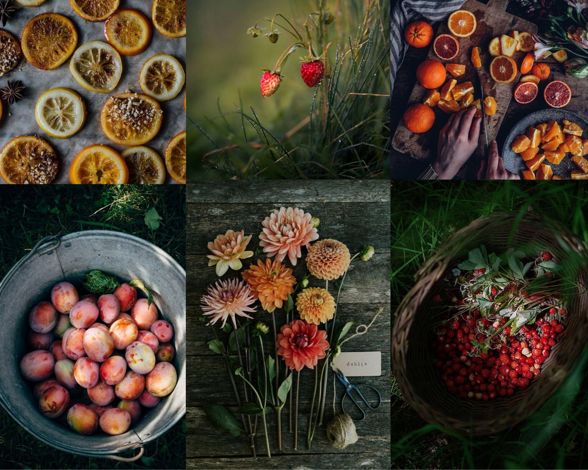 Dreamy Spring Moodboard – rosie darch